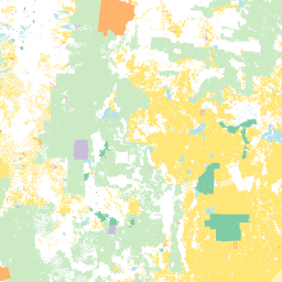 ArcGIS Web Application