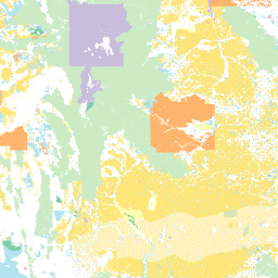 ArcGIS Web Application