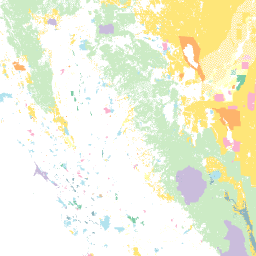 ArcGIS Web Application