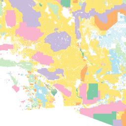 ArcGIS Web Application