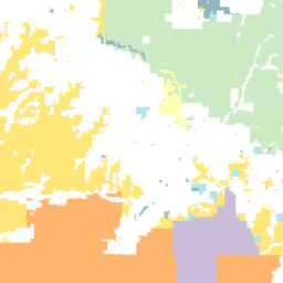 ArcGIS Web Application